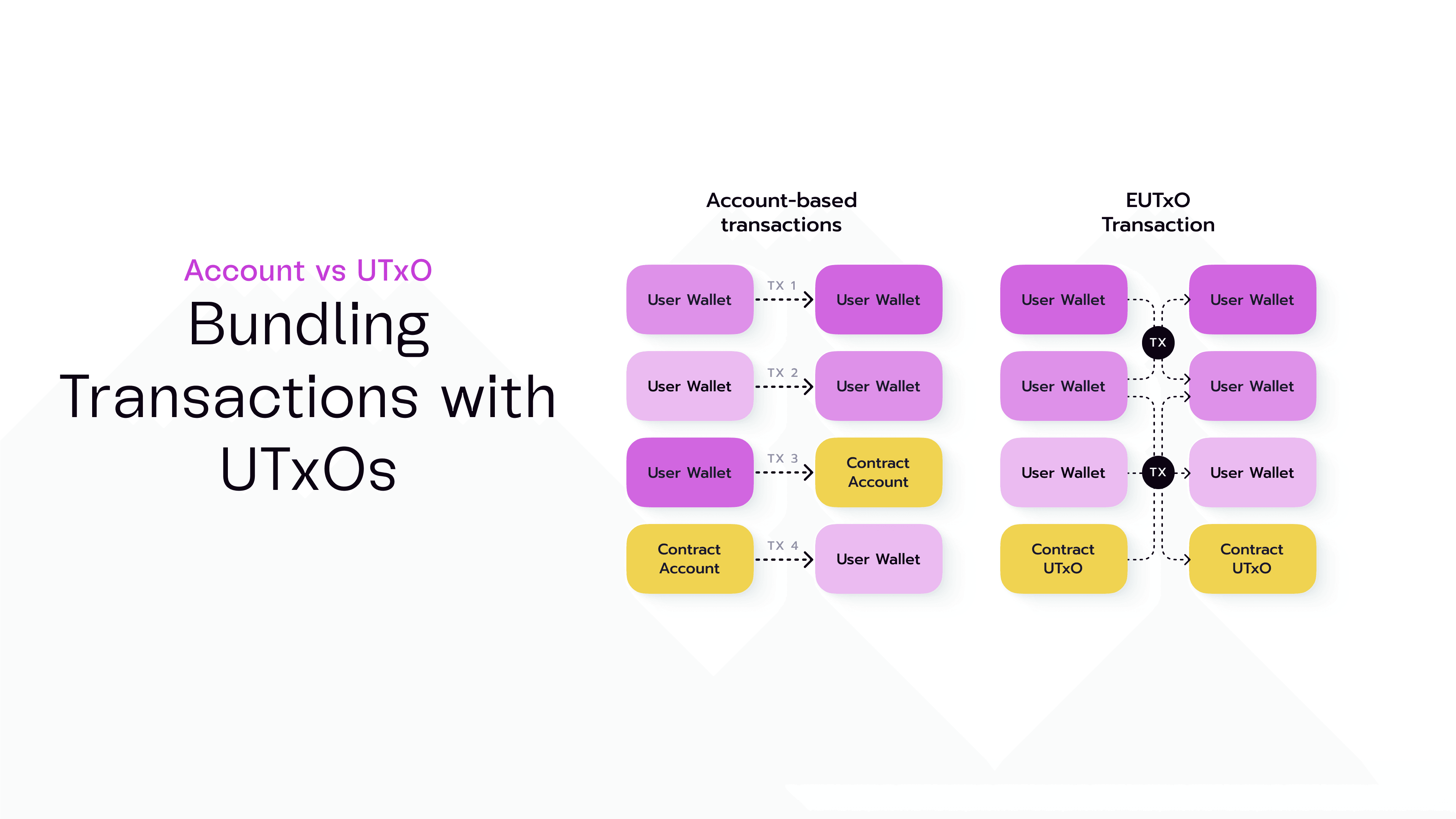 Leveraging the Power of UTxOs: A Comparative Study with Ethereum's EVM