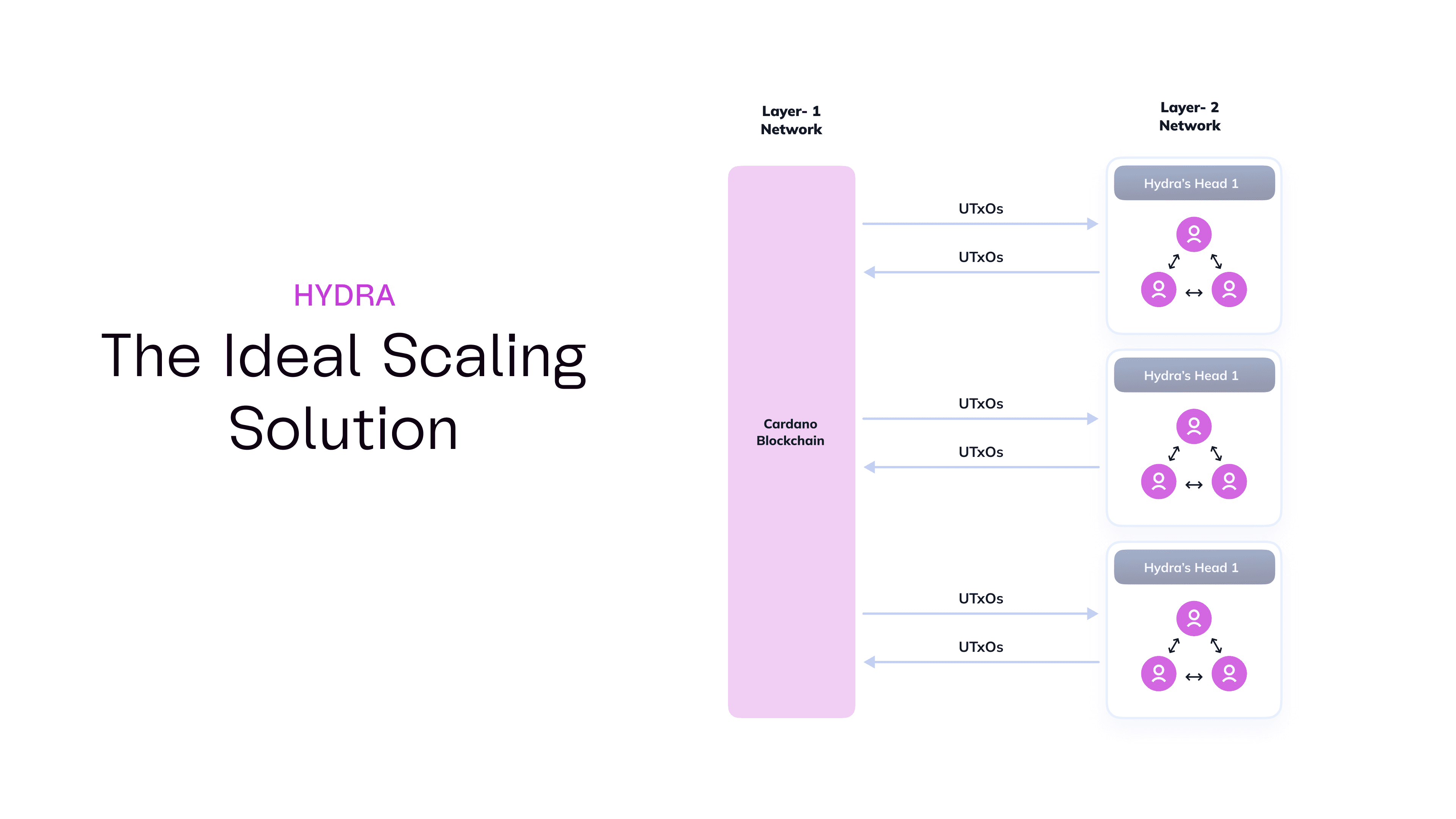 Leveraging the Power of UTxOs: A Comparative Study with Ethereum's EVM