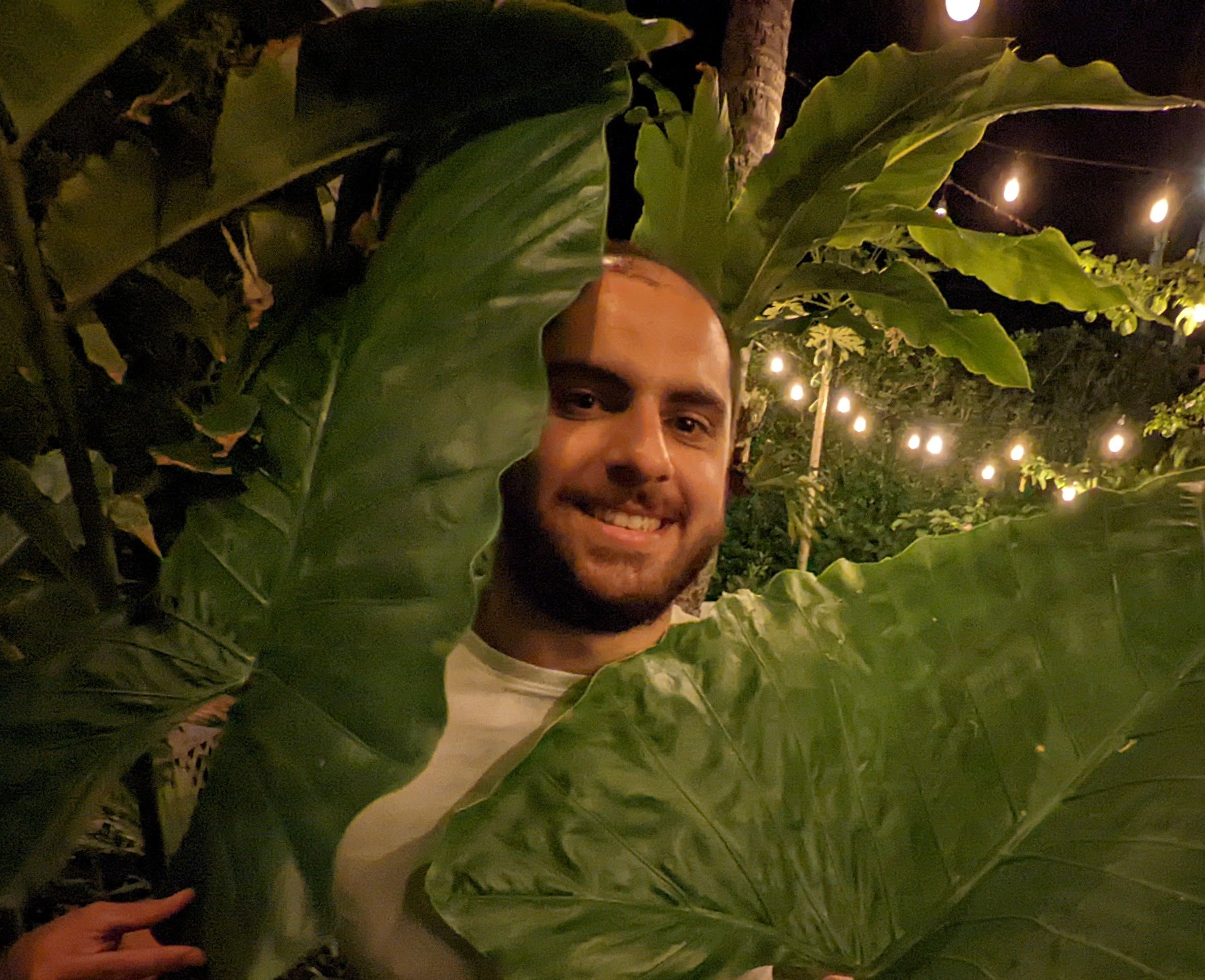 Maestro Master Plan - Part 1